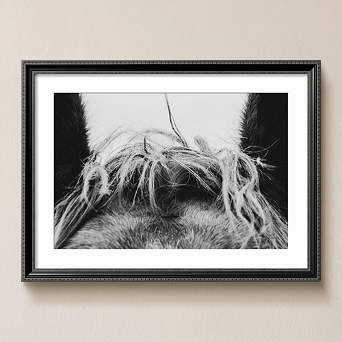 Art.com | Wall Art, Framed Prints, Canvas, Paintings, Posters & More ...