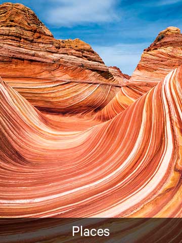 Art.com | Wall Art, Framed Prints, Canvas, Paintings, Posters & More ...